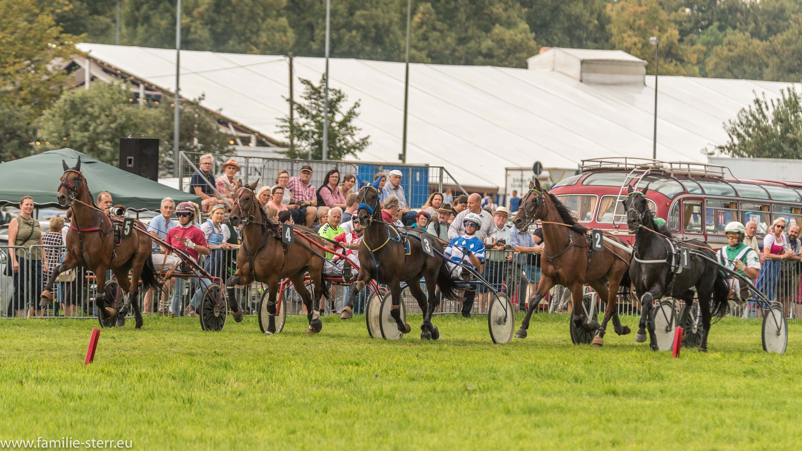 Trabrennen Erding 2017